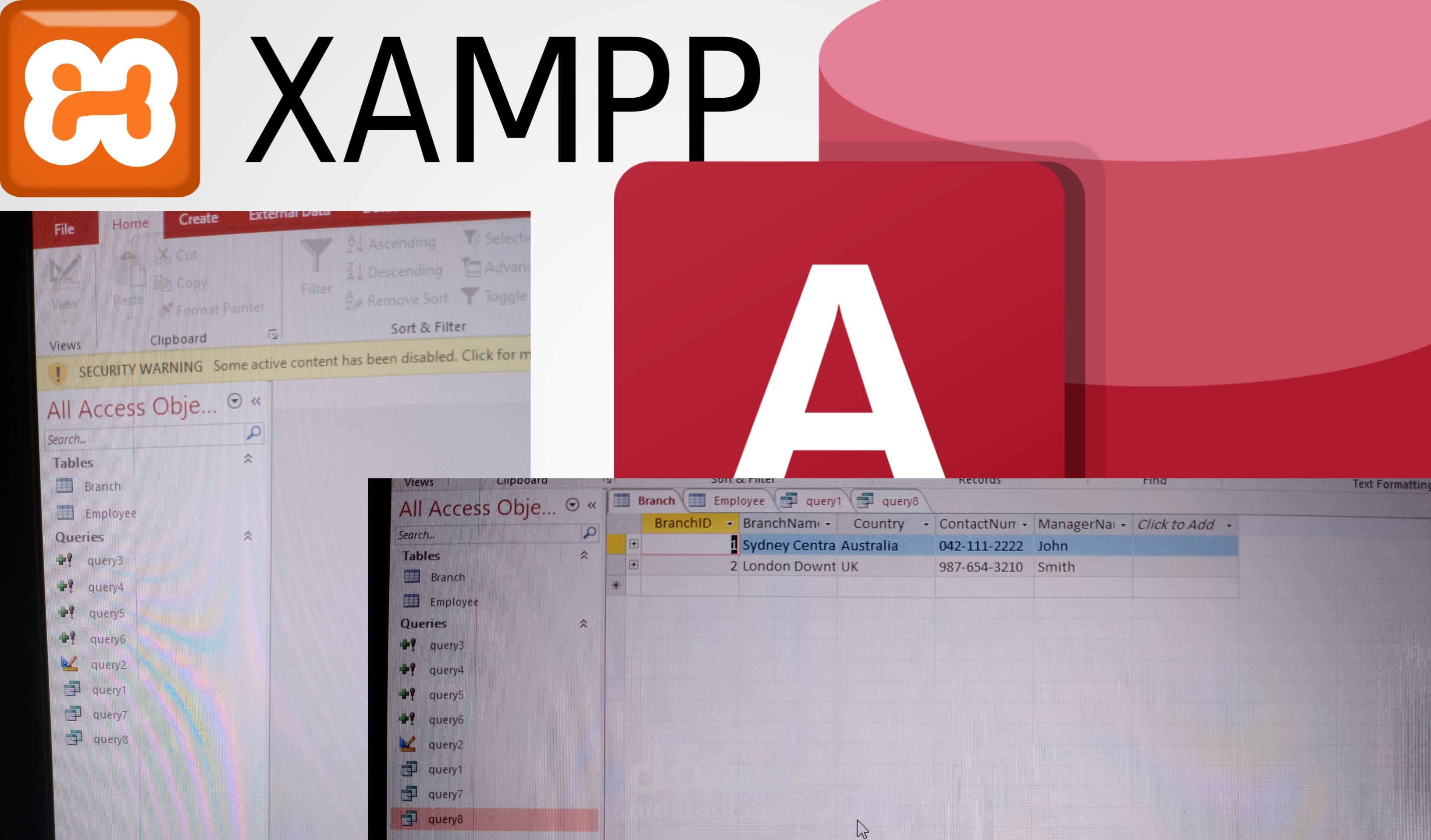 إنشاء قاعدة بيانات على Access & Xampp | مستقل