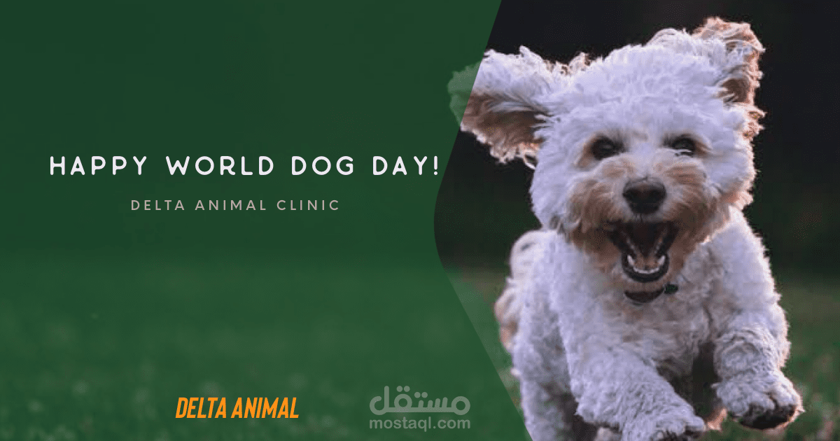 Delta animal clinic | مستقل