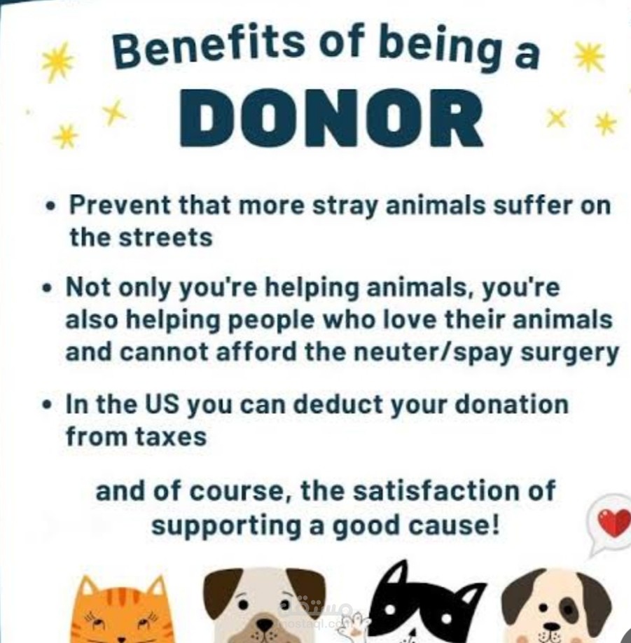 Save a stray every day project | مستقل