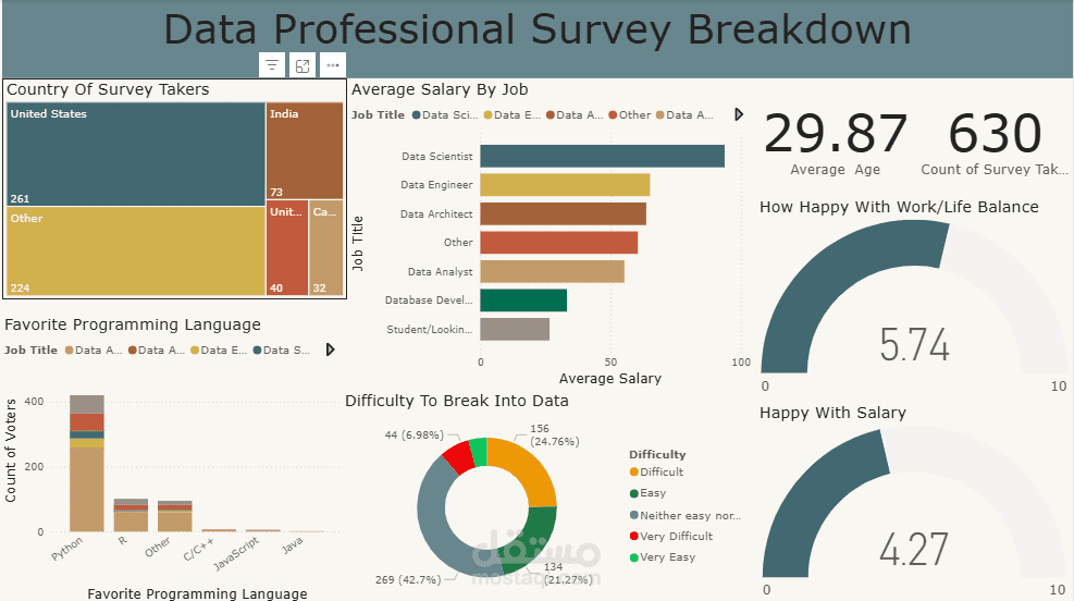 Data Professional Survey Breakdown – Power BI Dashboard | مستقل
